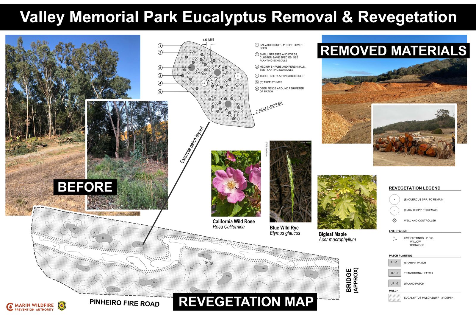 Marin Wildfire Prevention Authority